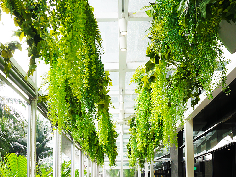 Project Sate Khas Senayan - Lippo Mall Kemang